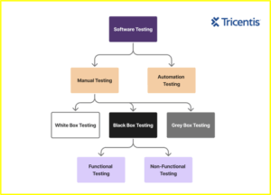 What Is Functional Testing And How Does It Work Tricentis