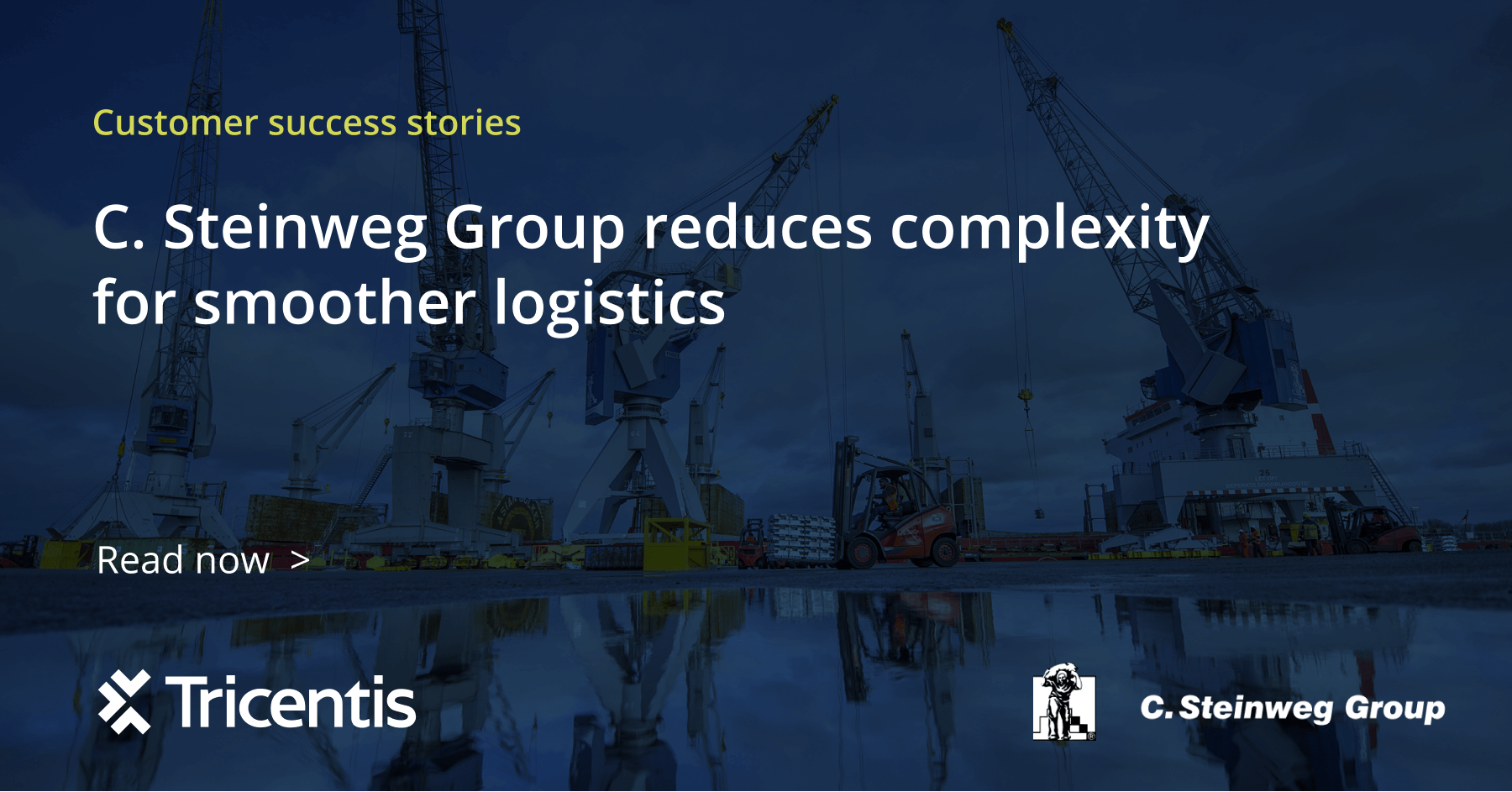 C. Steinweg Group reduces complexity for smoother logistics - Tricentis