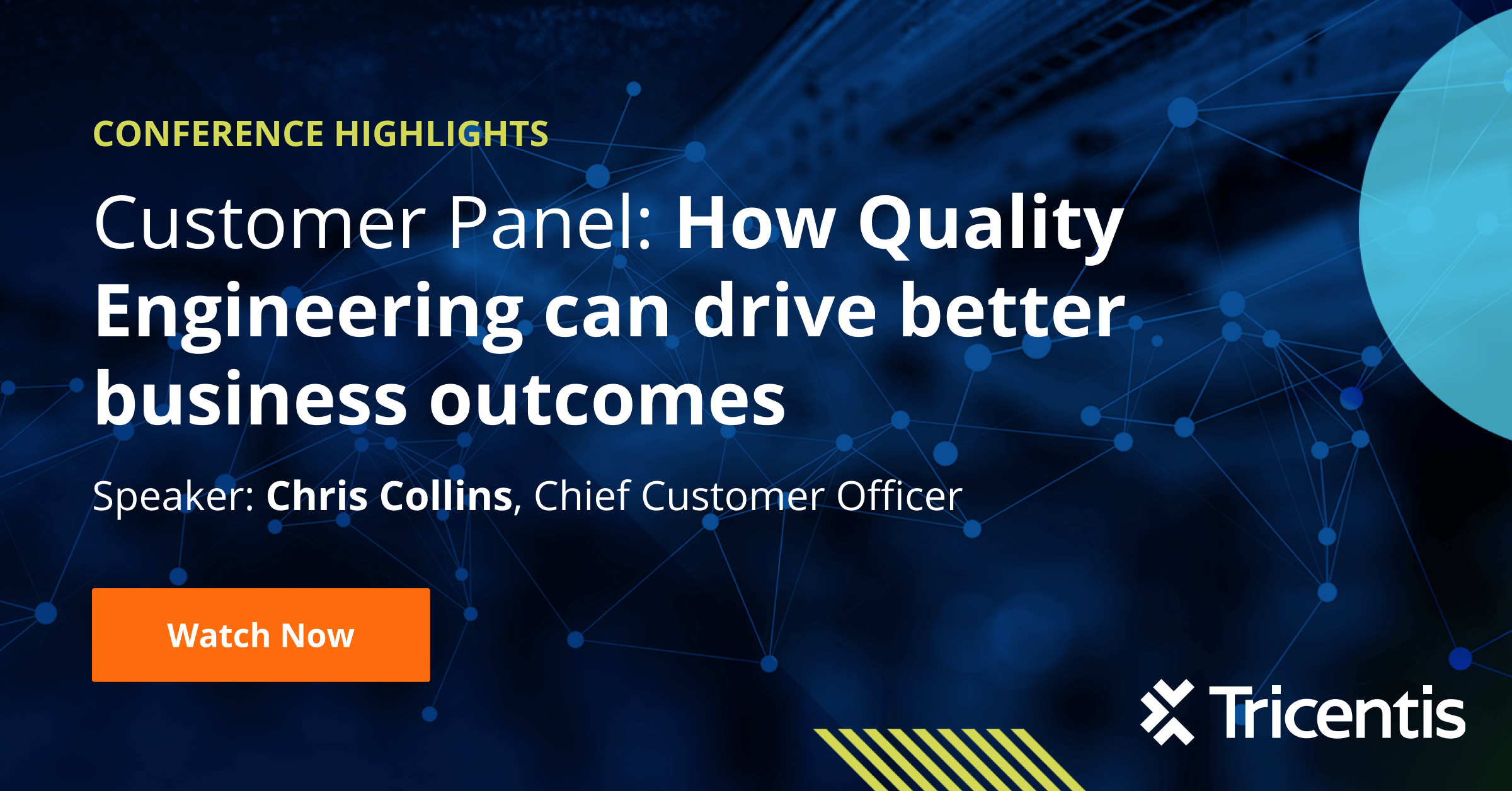 Customer Panel: How quality engineering can drive better business ...