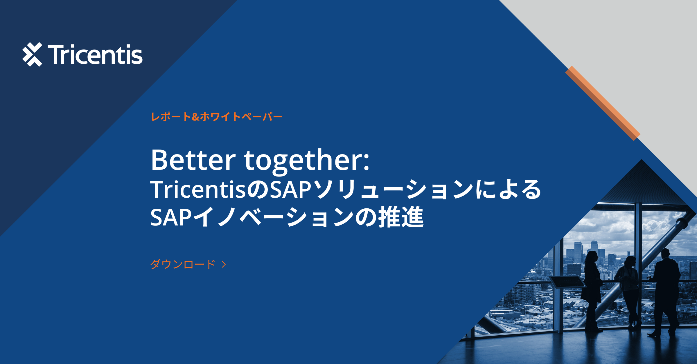 Better together : TricentisのテストプラットフォームでSAPによるイノベーションを加速 - Tricentis Better together : TricentisのテストプラットフォームでSAPによるイノベーションを加速 - Tricentis