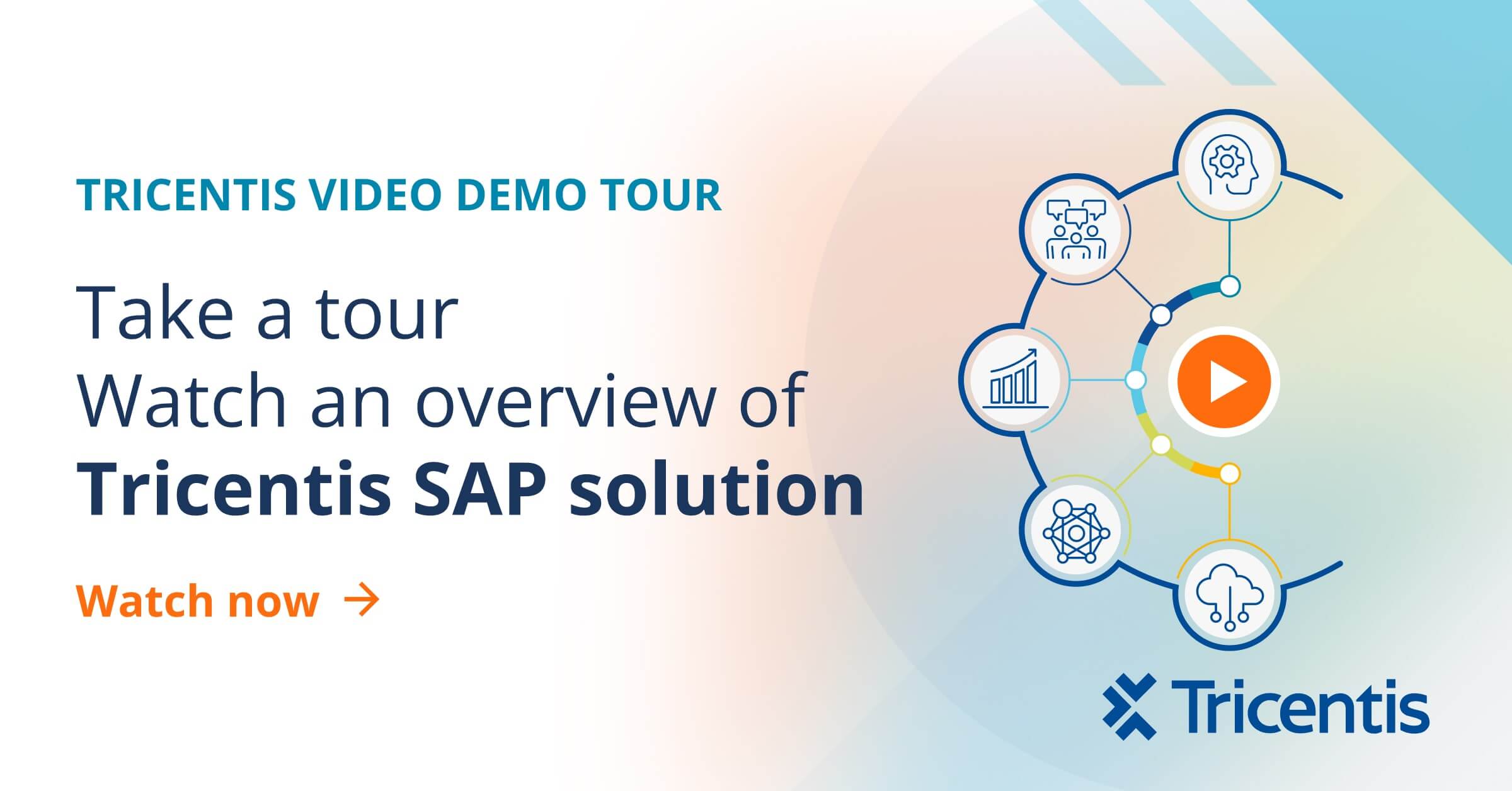 The Tricentis Solution For Sap Tricentis