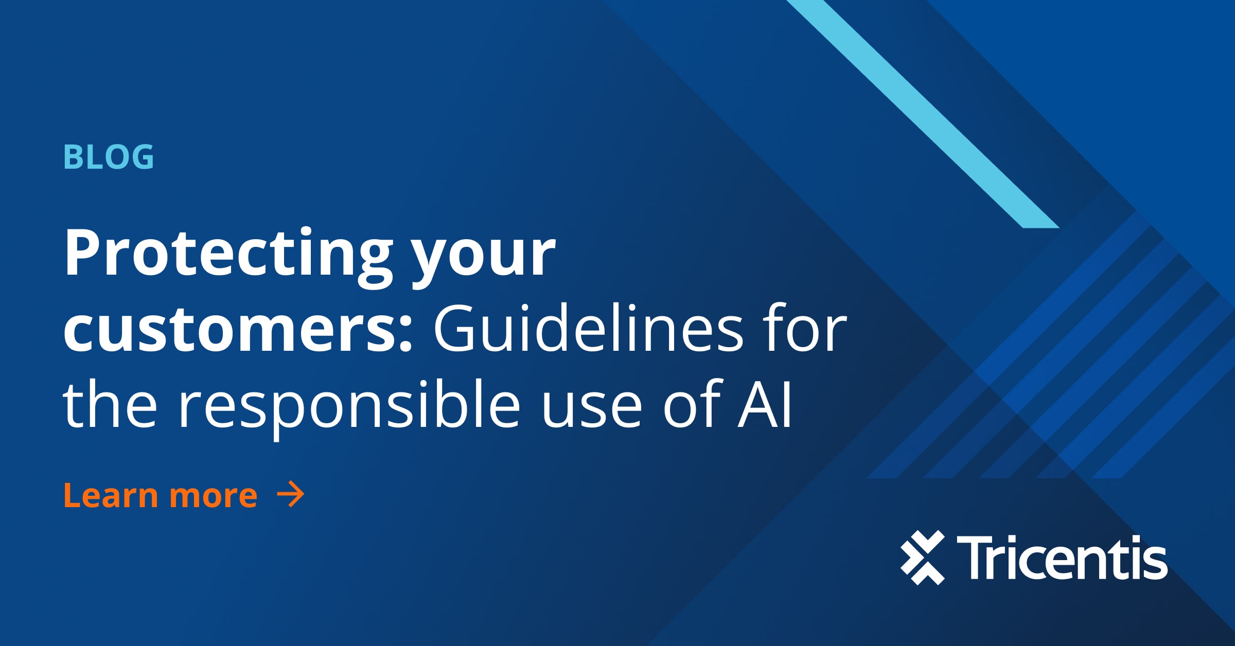 Protecting your customers: 5 key principles for the responsible use of ...