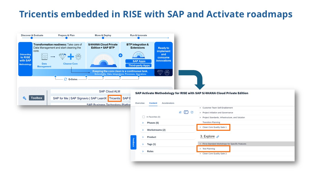 Unlocking RISE with SAP - Tricentis